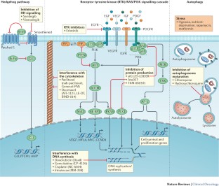 Nanomedicine strategies to overcome the pathophysiological barriers of ...