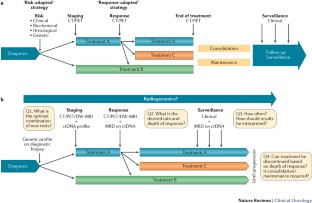 Evolution of lymphoma staging and response evaluation: current ...