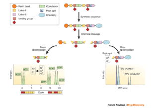 Combinatorial compound libraries for drug discovery: an ongoing ...