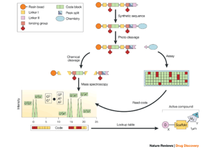 Combinatorial compound libraries for drug discovery: an ongoing ...