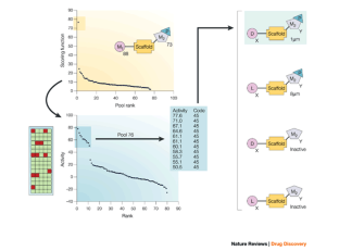 Combinatorial compound libraries for drug discovery: an ongoing ...