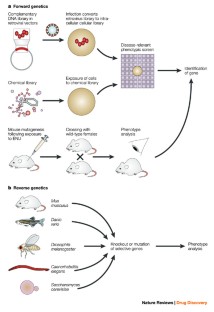 Target discovery | Nature Reviews Drug Discovery