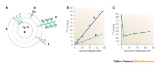 Recent advances with liposomes as pharmaceutical carriers | Nature ...