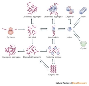 Protein drug stability: a formulation challenge | Nature Reviews Drug ...