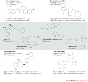 The nociceptin/orphanin FQ receptor: a target with broad therapeutic ...