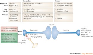 The nociceptin/orphanin FQ receptor: a target with broad therapeutic ...