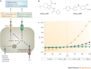 Chloride channels as drug targets | Nature Reviews Drug Discovery