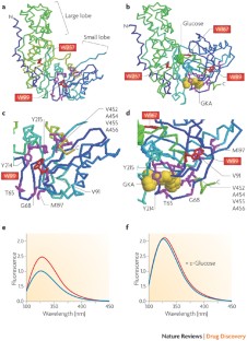 Assessing the potential of glucokinase activators in diabetes therapy ...