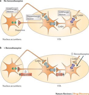 Beyond classical benzodiazepines: novel therapeutic potential of GABA A ...
