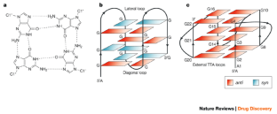 Telomere maintenance as a target for anticancer drug discovery | Nature ...