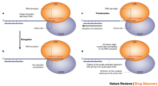 Telomere maintenance as a target for anticancer drug discovery | Nature ...
