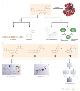 Integration of virtual and high-throughput screening | Nature Reviews ...