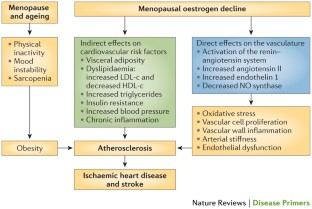 Menopause | Nature Reviews Disease Primers