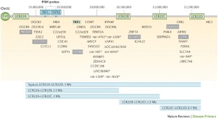 22q11.2 deletion syndrome | Nature Reviews Disease Primers
