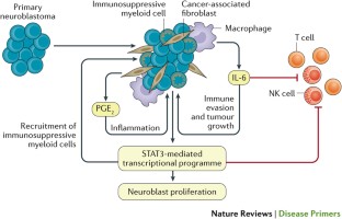 Neuroblastoma | Nature Reviews Disease Primers