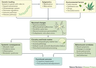 Bipolar disorders | Nature Reviews Disease Primers