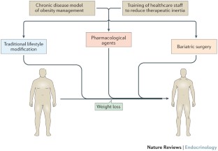 Advances in managing obesity | Nature Reviews Endocrinology