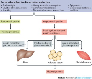 Global aetiology and epidemiology of type 2 diabetes mellitus and its ...