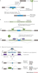 Lessons from non-canonical splicing | Nature Reviews Genetics