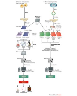 Chemogenomics: an emerging strategy for rapid target and drug discovery ...