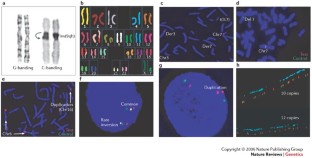 Structural variation in the human genome | Nature Reviews Genetics