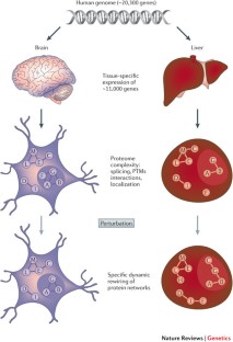 Next-generation proteomics: towards an integrative view of proteome dynamics | Nature Reviews ...