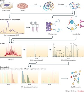 Next-generation proteomics: towards an integrative view of proteome dynamics | Nature Reviews ...