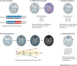 Next-generation proteomics: towards an integrative view of proteome dynamics | Nature Reviews ...