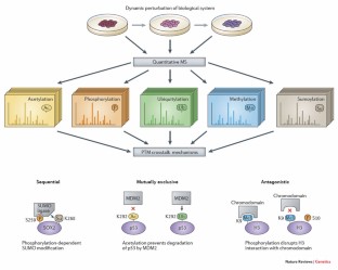 Next-generation proteomics: towards an integrative view of proteome dynamics | Nature Reviews ...