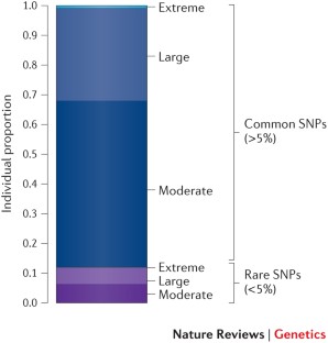 Estimating the mutation load in human genomes | Nature Reviews Genetics