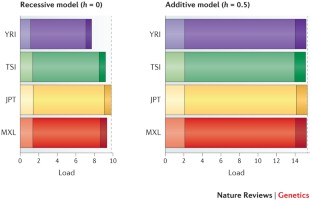 Estimating the mutation load in human genomes | Nature Reviews Genetics