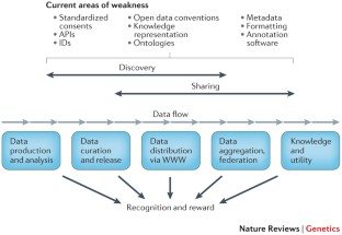 Human genotype–phenotype databases: aims, challenges and opportunities ...