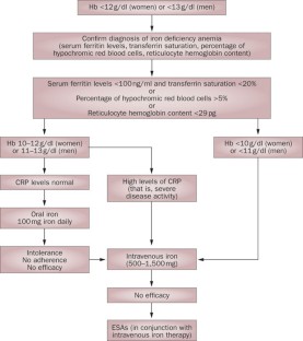 Diagnosis and management of iron deficiency anemia in patients with IBD ...