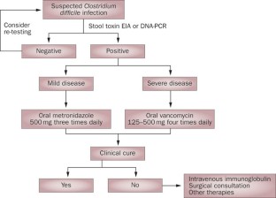 Clostridium difficile infection: epidemiology, risk factors and ...