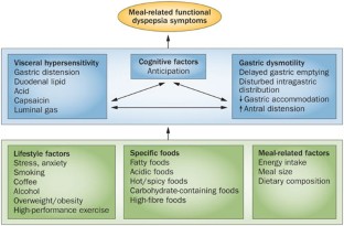 Dietary and lifestyle factors in functional dyspepsia | Nature Reviews Gastroenterology & Hepatology