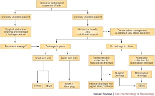 Major complications of bariatric surgery: endoscopy as first-line ...