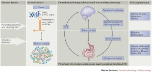 Lessons learned — resolving the enigma of genetic factors in IBS ...