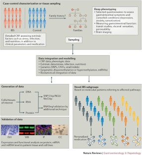 Lessons learned — resolving the enigma of genetic factors in IBS ...