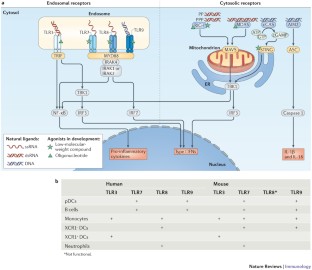 Translating nucleic acid-sensing pathways into therapies | Nature ...