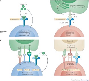 IL-15 functions as a danger signal to regulate tissue-resident T cells ...