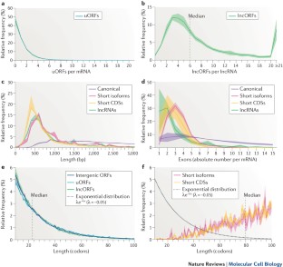Classification and function of small open reading frames | Nature ...