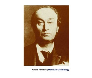 The calcium-signalling saga: tap water and protein crystals | Nature ...