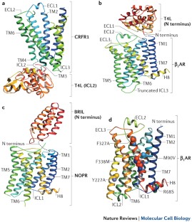 Methodological advances: the unsung heroes of the GPCR structural ...