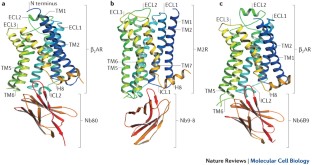 Methodological advances: the unsung heroes of the GPCR structural ...