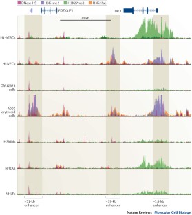 The selection and function of cell type-specific enhancers | Nature ...