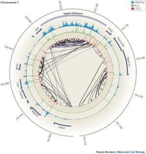 The selection and function of cell type-specific enhancers | Nature ...