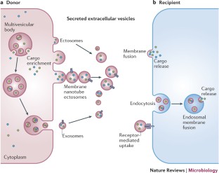 Sending a message: extracellular vesicles of pathogenic protozoan ...