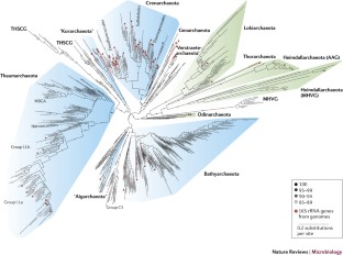 Archaea and the origin of eukaryotes | Nature Reviews Microbiology