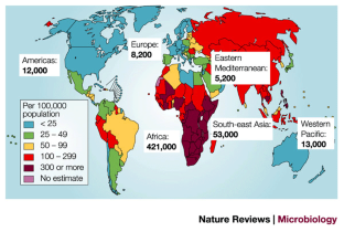 Focus: Tuberculosis | Nature Reviews Microbiology