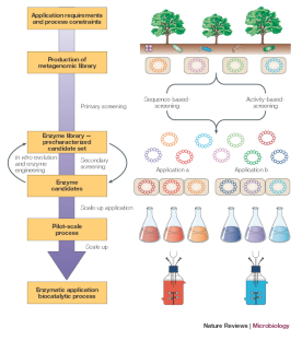 Metagenomics and industrial applications | Nature Reviews Microbiology